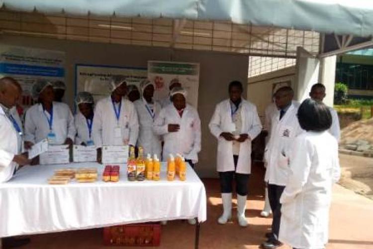 STRENGTHENING AFRICAN FOOD PROCESSORS (SAP) PROJECT | Department of ...